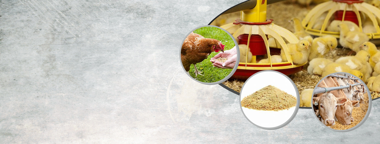 Alsultan Veterinary Medicines Co LLC – Veterinary Medicines